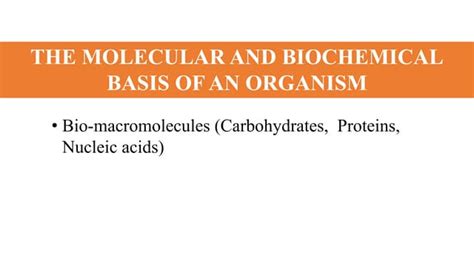 4 Biomacromolecules Carbohydrate Protein Nucleic Acidpptxpdf