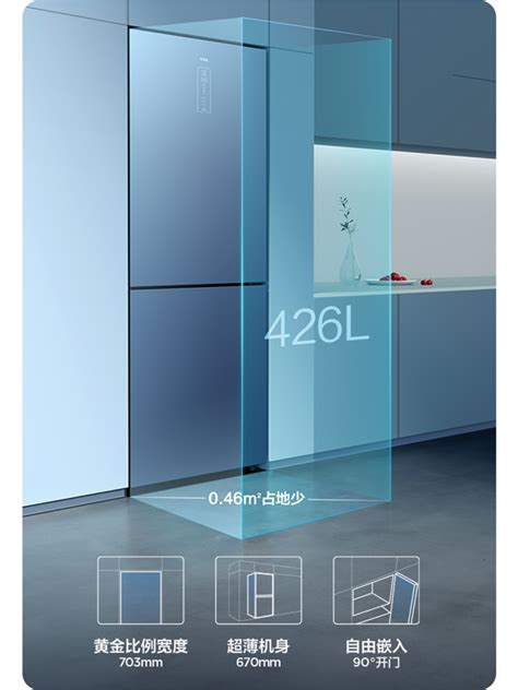 精厨系列冰箱p10 B