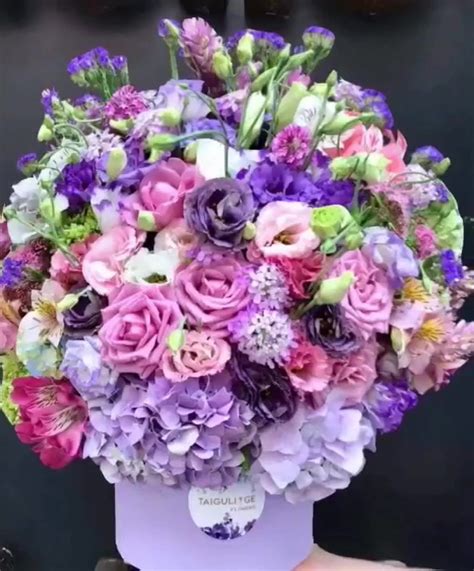 Taiguli Ge Home Facebook