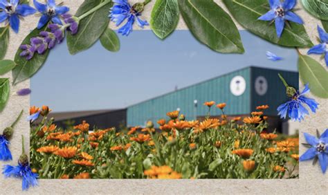 Our Organic Evolution 2010s Today Organic Lab My