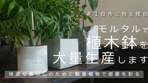 【暮らしのvlog Diy】＃1植木鉢をモルタルで自作する理由快適な暮らしのために観葉植物で部屋を彩る Youtube
