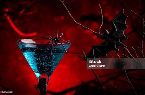 할로윈 마녀 물약 알콜 칵테일 무서운 짙은 붉은 배경에 꼬인 가지 박쥐 돌 및 거미 파티를위한 축제 음료 Gin Tonic에 대한 스톡 사진 및 기타 이미지 Istock