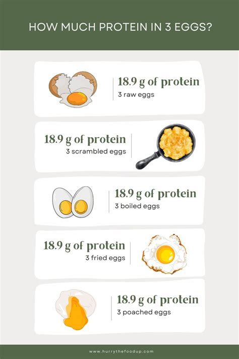 Protein In 3 Eggs Whole Scrambled Boiled Fried Poached