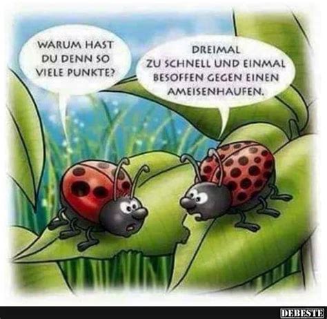 Warum Hast Du Denn So Viele Punkte DEBESTE De