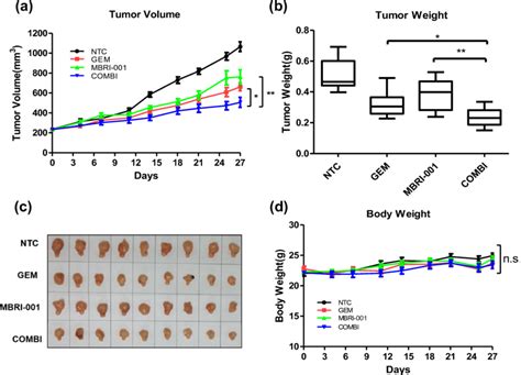 Mbri 001 Sensitized The Treatment Of Gem In Pc Xenografts Mice Female
