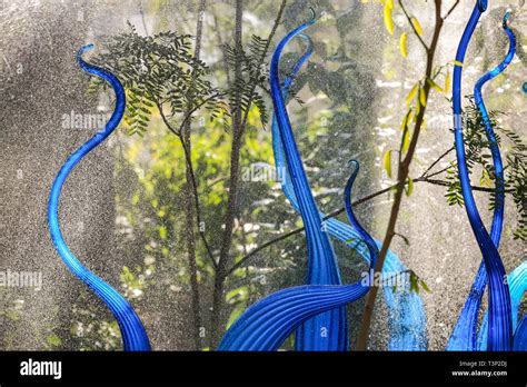 Kew Gardens London Uk 11th April 2019 Dale Chihuly Reflections On