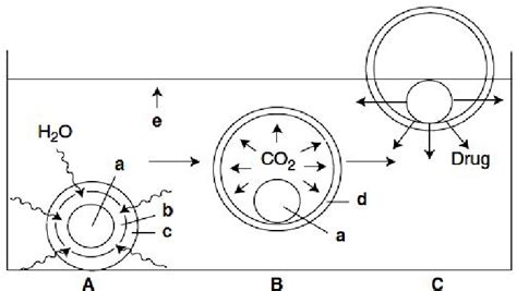 Figure 1 From Formulation And In Vitro Evaluation Of Effervescent Floating Matrix Tablet Of