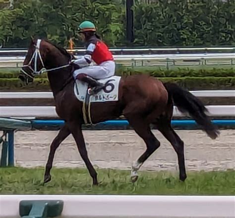 6月1週目愛馬の近況・・・・ Kenmetalのブログ