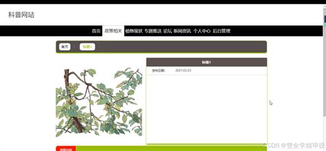 计算机毕业设计ssm科普网站 基于网络的开放式课程学习与支持平台设计 开放式网络课程教学与辅导平台构建 Csdn博客