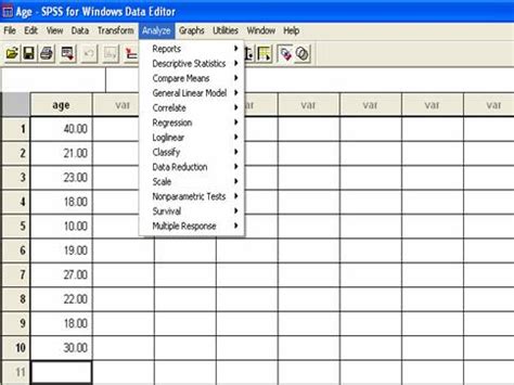 How Do I Analyze Data In Spss For Central Tendency And Dispersion