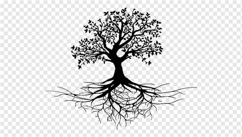 Tree Bird Eye Png Birds Eye View Png Images Birds Eye View Clipart Free Download Pix Ann