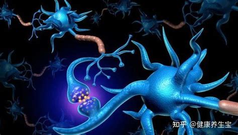 植物神经紊乱可能会出现哪些症状 知乎