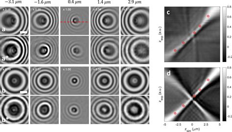 Unified Simulation Platform For Interference Microscopy Acs Photonics