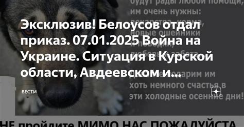 Эксклюзив Белоусов отдал приказ 07 01 2025 Война на Украине Ситуация