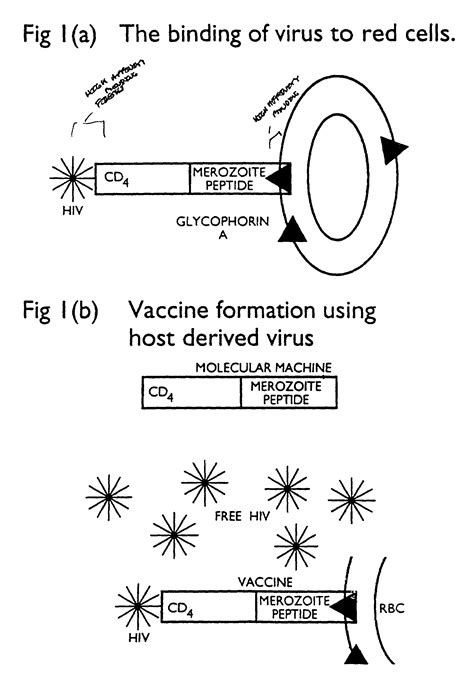 Glycophorin Patented Technology Retrieval Search Results Eureka Patsnap