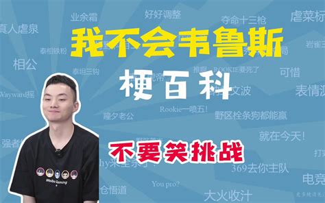 【梗百科】我不会韦鲁斯是什么梗？ Lpl梗百科 Lpl梗百科 哔哩哔哩视频