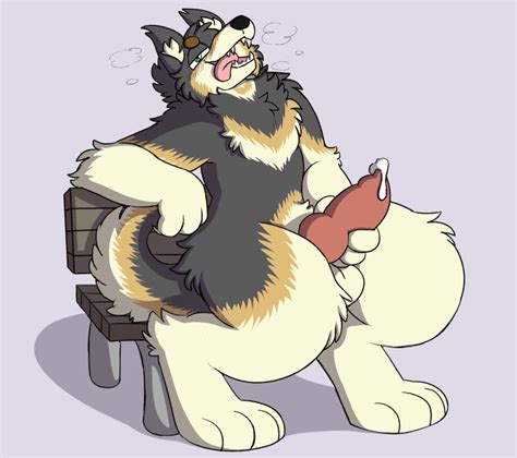 Rule 34 Animal Genitalia Animal Penis Anthro Balls Bench Big Penis
