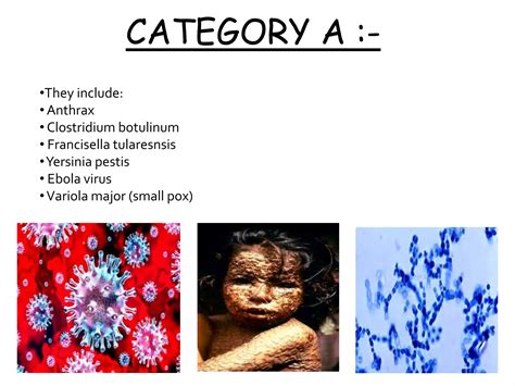 Bioterrorism And Biological Weapons Pptx