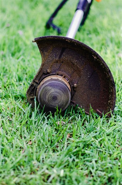 How to Mow Your Lawn: Step-by-Step Guide