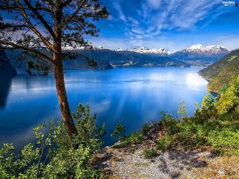 Lake Trees Viewes Mountains Beautiful Views Wallpapers 2000x1500
