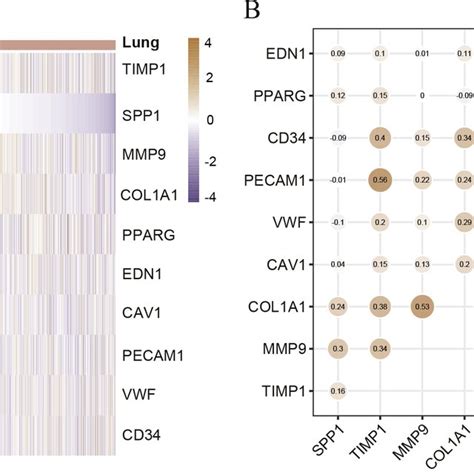 The Correlation Of Hub Genes A The Hierarchical Clustering Of Hub Download Scientific