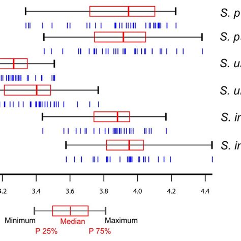 Centroid Size Variation Of The Wings Between Species And Sexes Shown