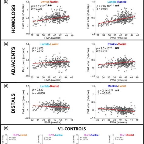Agerelated Changes In Functional Connectivity Within The Sensorimotor
