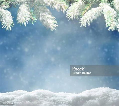 눈 덮인 전나무 가지 눈송이와 푸른 하늘과 아름다운 눈 덮인 겨울 풍경 겨울 크리스마스 배경입니다 0명에 대한 스톡 사진 및