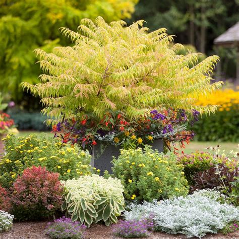 How To Landscape Front Yards And Entryways To Maximize Curb Appeal