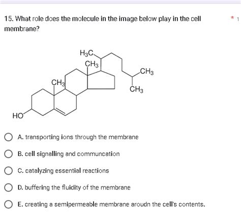 15 What Role Does The Molecule In The Image Below
