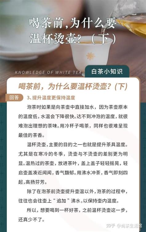 喝茶前，为什么要温杯烫壶？（下） 知乎