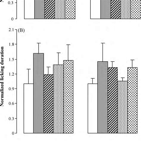 Effects Of Estrogen Nmda Ampa Or Gaba A Receptor Antagonists On The