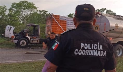 Pollos se salvan de morir calcinados en carretera del poniente de Yucatán