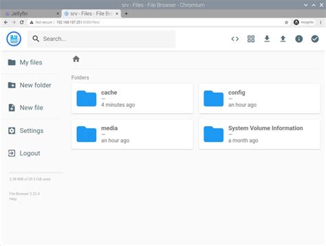 Jellyfin And Raspberry Pi A Free System To Manage Your Media