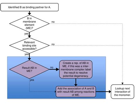 Ppt Rule Based Spatially Resolved Modeling Of Cellular Signaling Processes Powerpoint