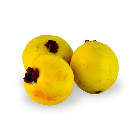 Guayaba Primera Por Kilo Moisaner Gourmet Tienda En Línea