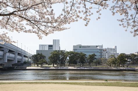 【兵庫医科大学病院 】の採用サイト