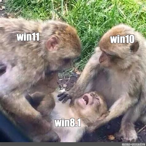 Meme Win11 Win10 Win8 1 All Templates Meme