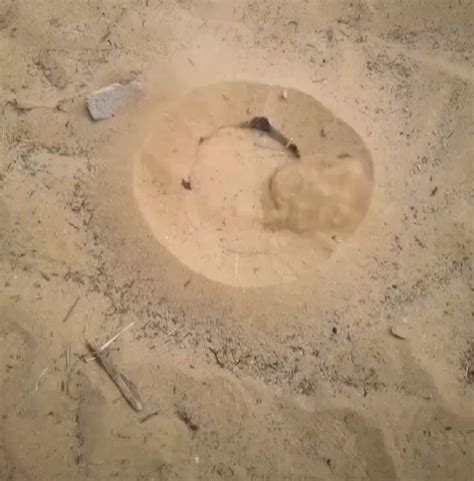 内蒙古一地现“趵沙泉”，当地政府：地下有气体喷了几十年，最高达几米凤凰网视频凤凰网