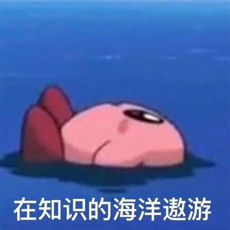 关于学习的表情包 知乎