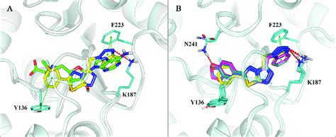 Putative Binding Modes Of 6 And Its Analogues A The Putative Binding
