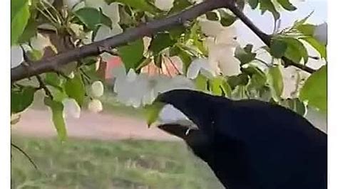Заначка для жены ))))