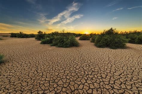 Día De La Lucha Contra La Desertificación Fundación Aquae