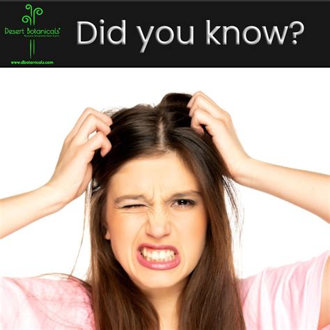 Did You Know Dandruff Pityriasis Capitis Is A Condition That Results