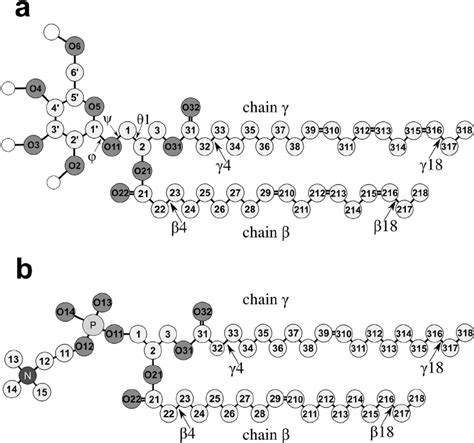 Molecular Structures Of Di 183 Mgdg A And Dopc B In The Dopc