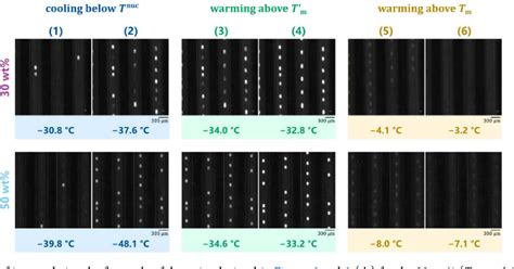 Figure 2 From Monitoring Aqueous Sucrose Solutions Using Droplet Microfluidics Ice Nucleation
