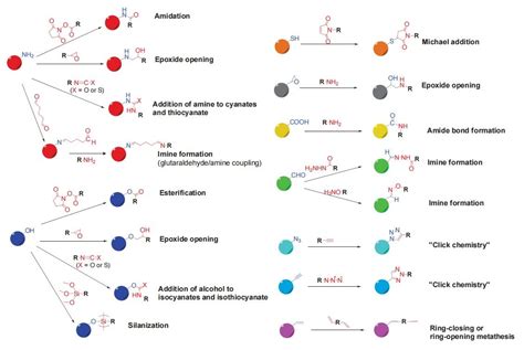 Nanoparticle Surface Functionalization Cd Bioparticles