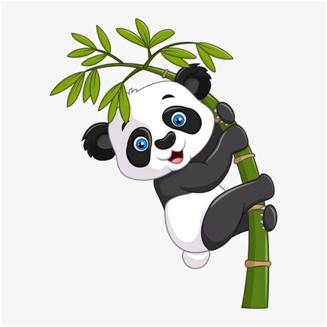 Panda Panda DOS Desenhos Animados O Tesouro Nacional Sichuan Panda