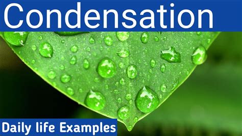 Daily Life Examples Of Condensation