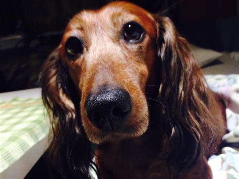 Lori Zoom By Uriyeah55 On Deviantart